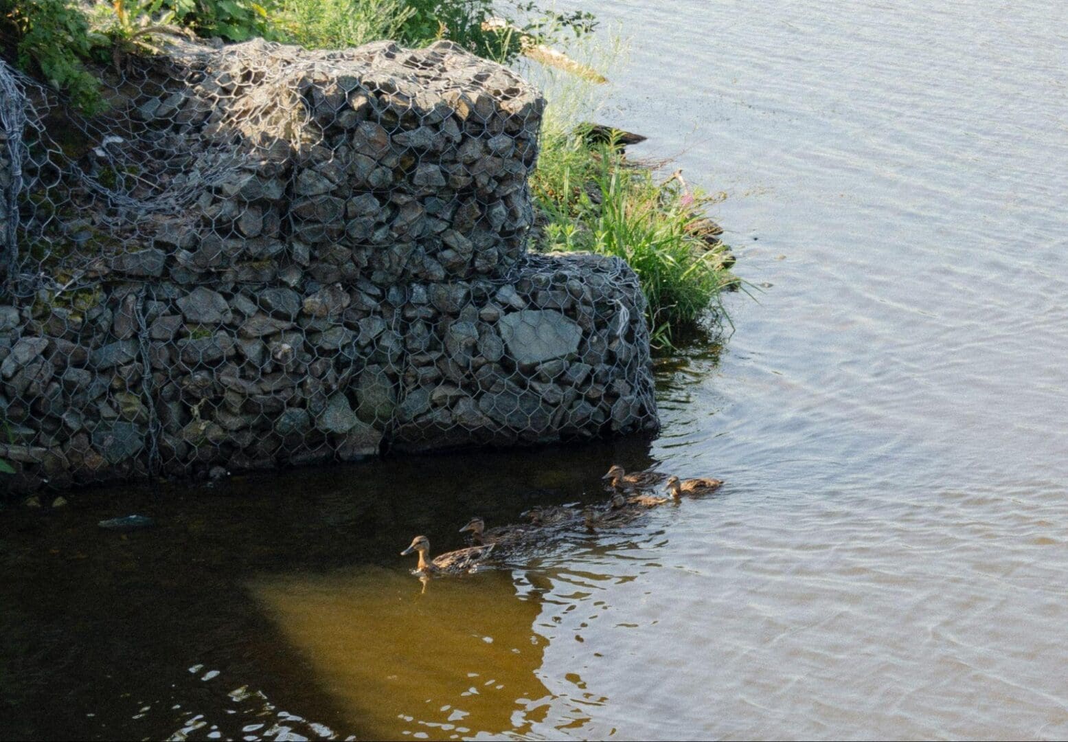 The Environmental Benefits of Gabions - Gabion Supply